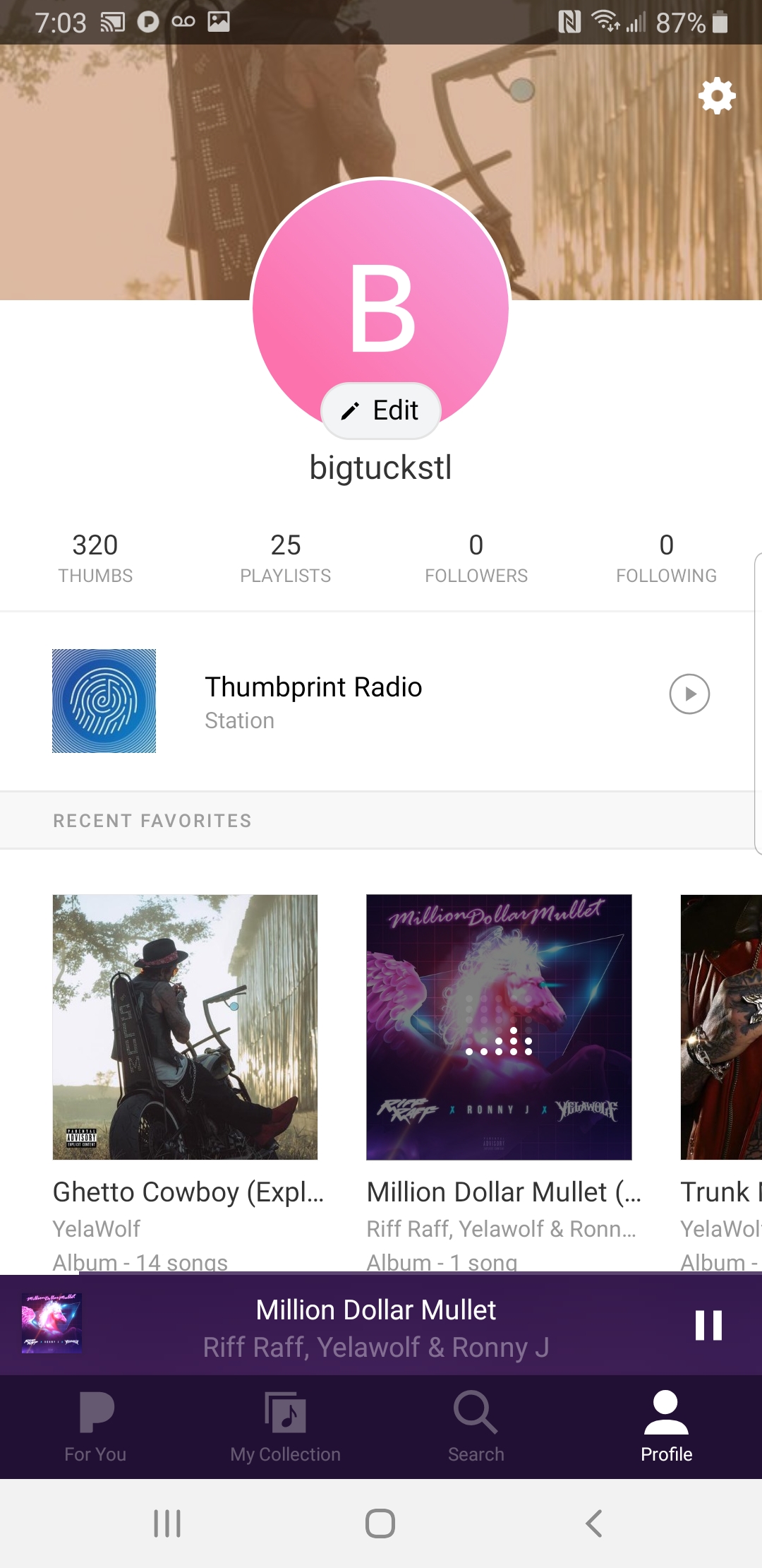 Solved: Playlists missing from Collection - Pandora Community